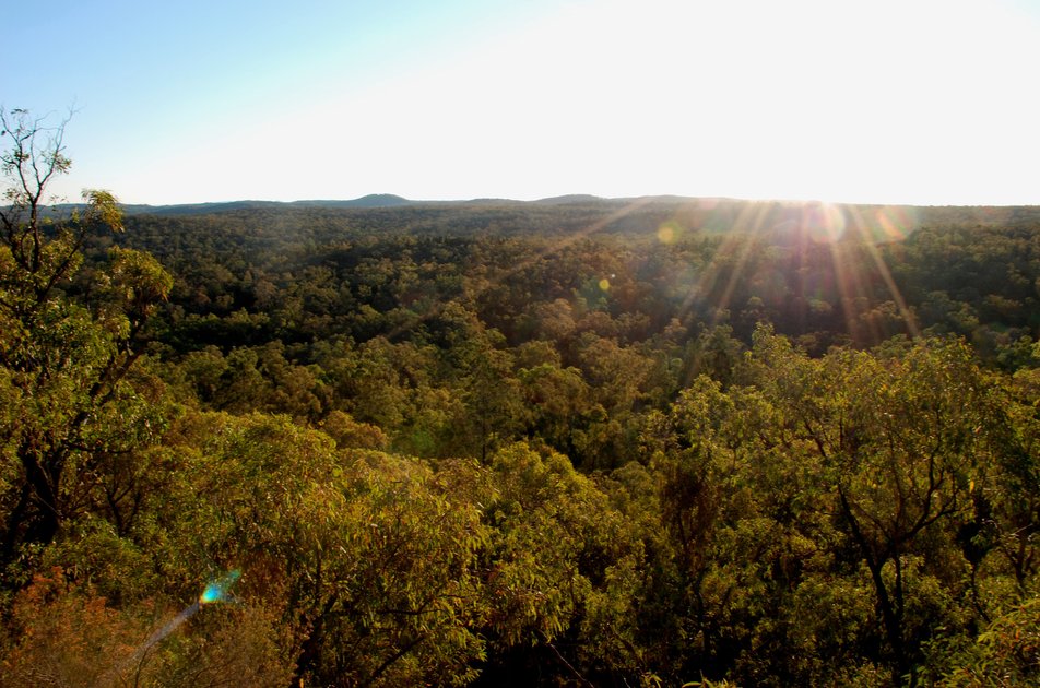 Reject the Narrabri Gas Project in the Pilliga forest | Protect the ...